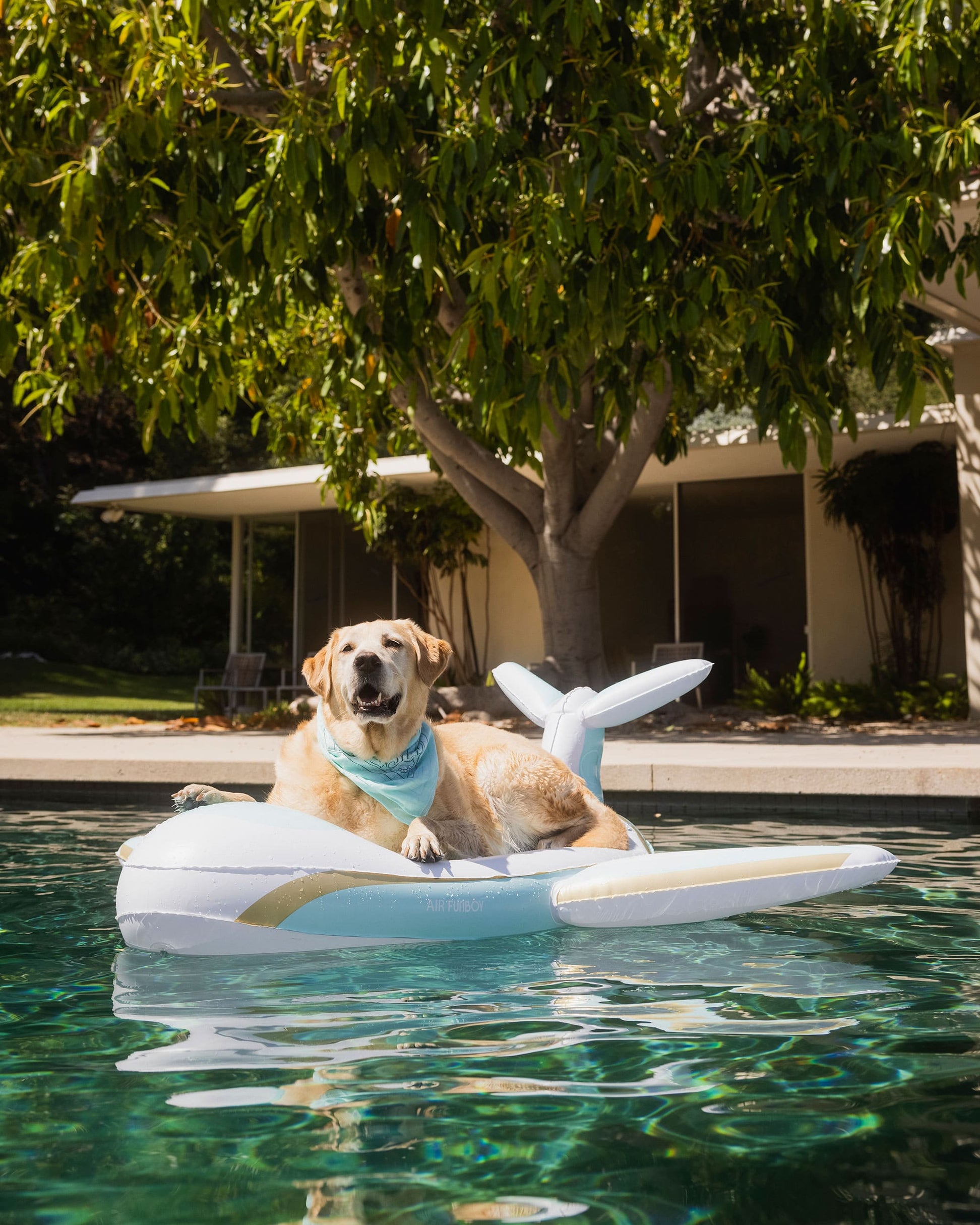 Dog Pool Floats: Inflatable Floats for Dogs - FUNBOY